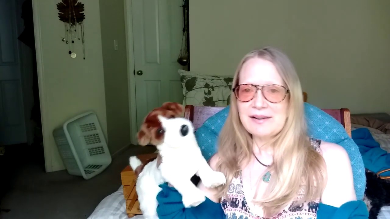 Terrence the dog puppet - Ventriloquism skit - YouTube