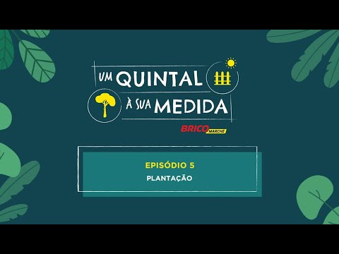 Um Quintal À Sua Medida #5 - Plantações - YouTube