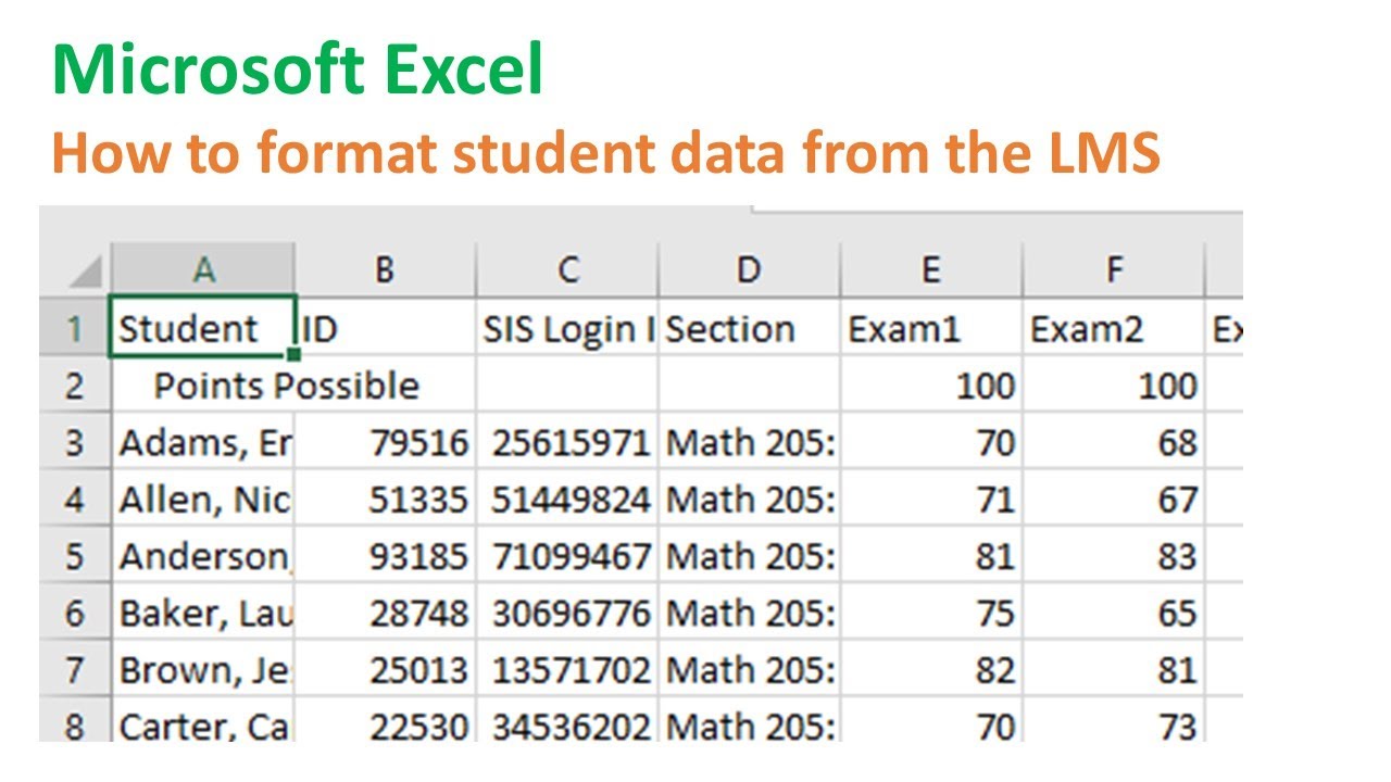 Microsoft Excel – format that data from the LMS - YouTube
