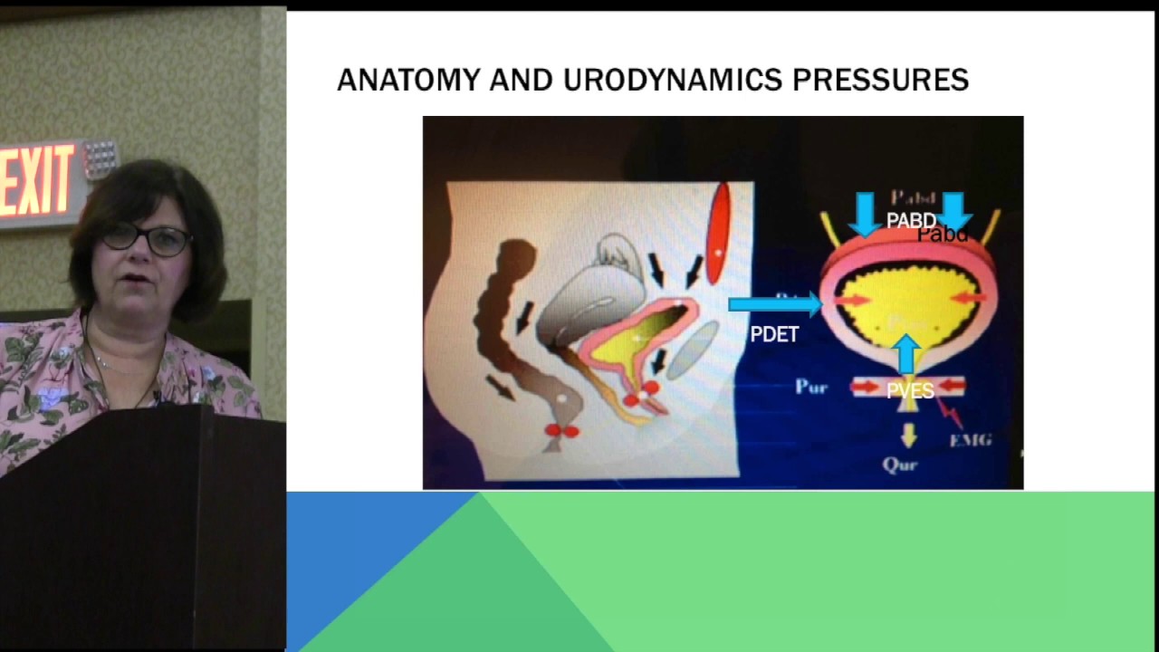 Urodynamics I - Basic - YouTube