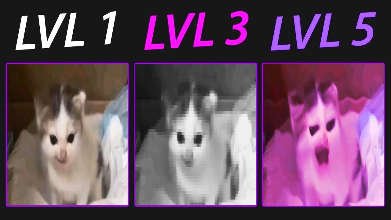 German Cat Meme: different effects every time - YouTube