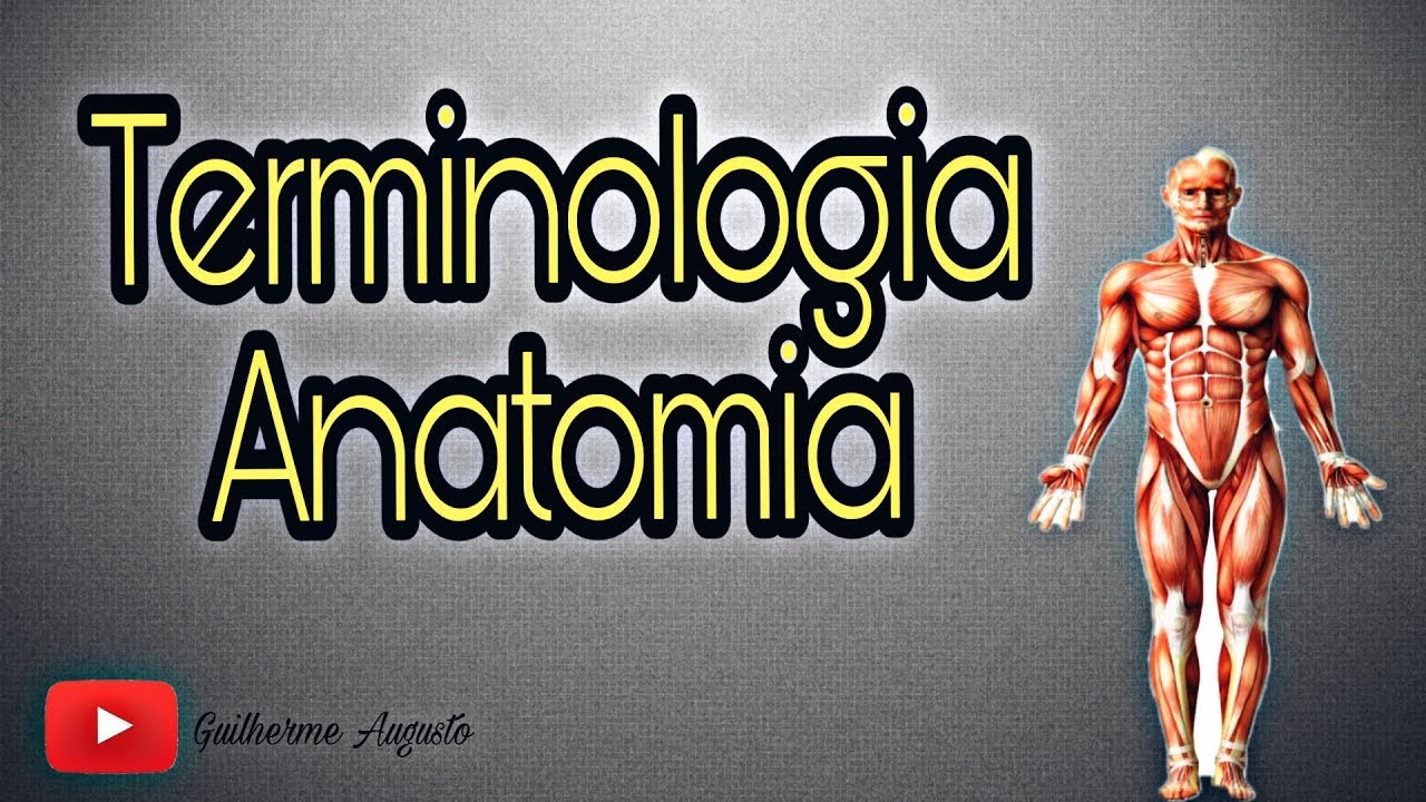 TERMINOLOGIA ANATOMICA (BÁSICA ) - YouTube