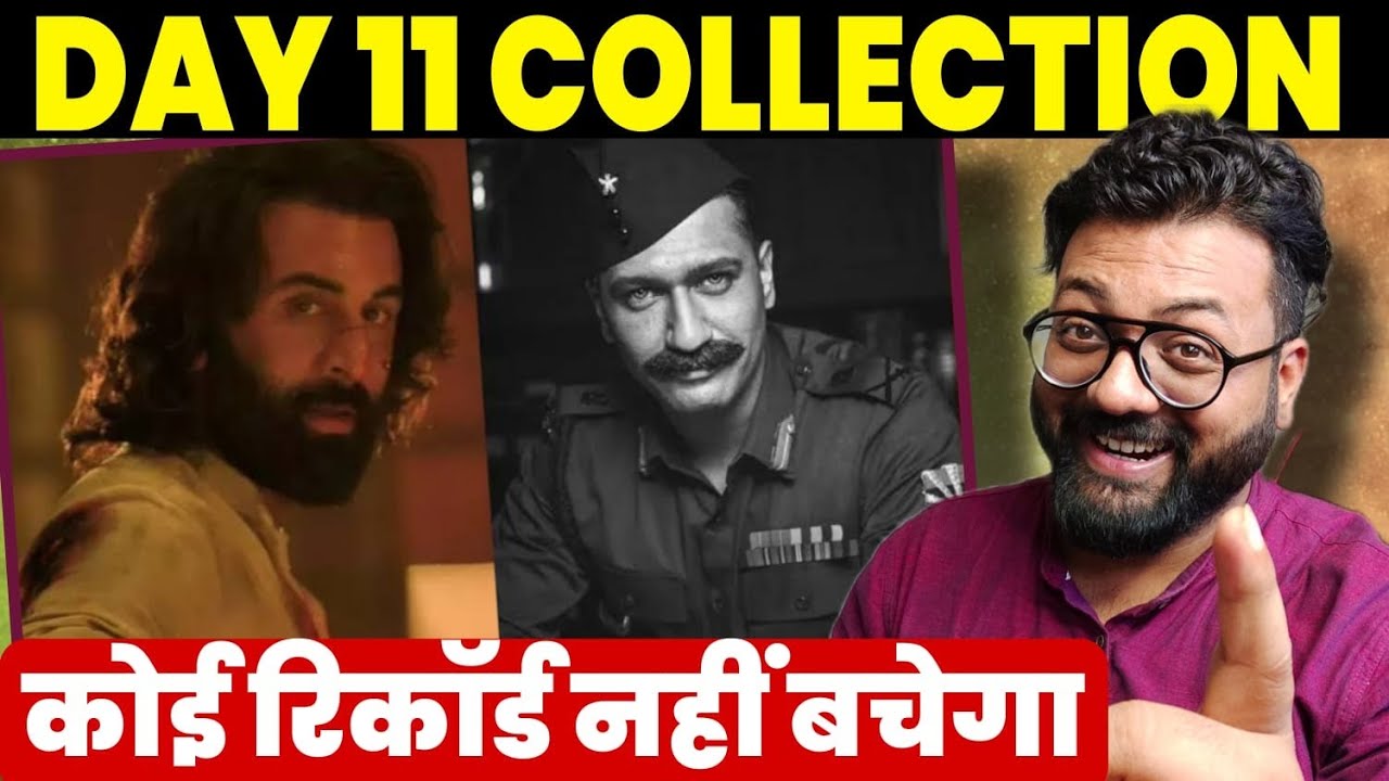 Animal Day 11 Worldwide Box Office Collection Animal Box Office ...