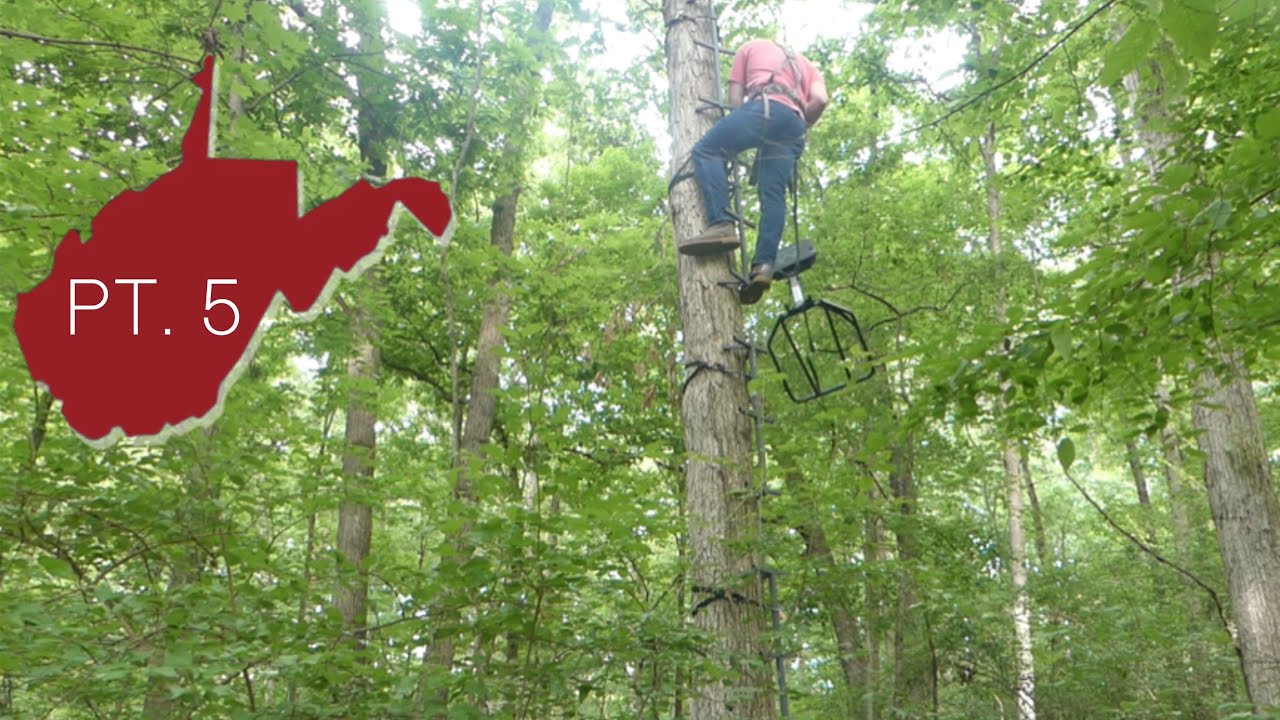 Taking down tree stand and pulling trail cam card | WV hunting vlog ...