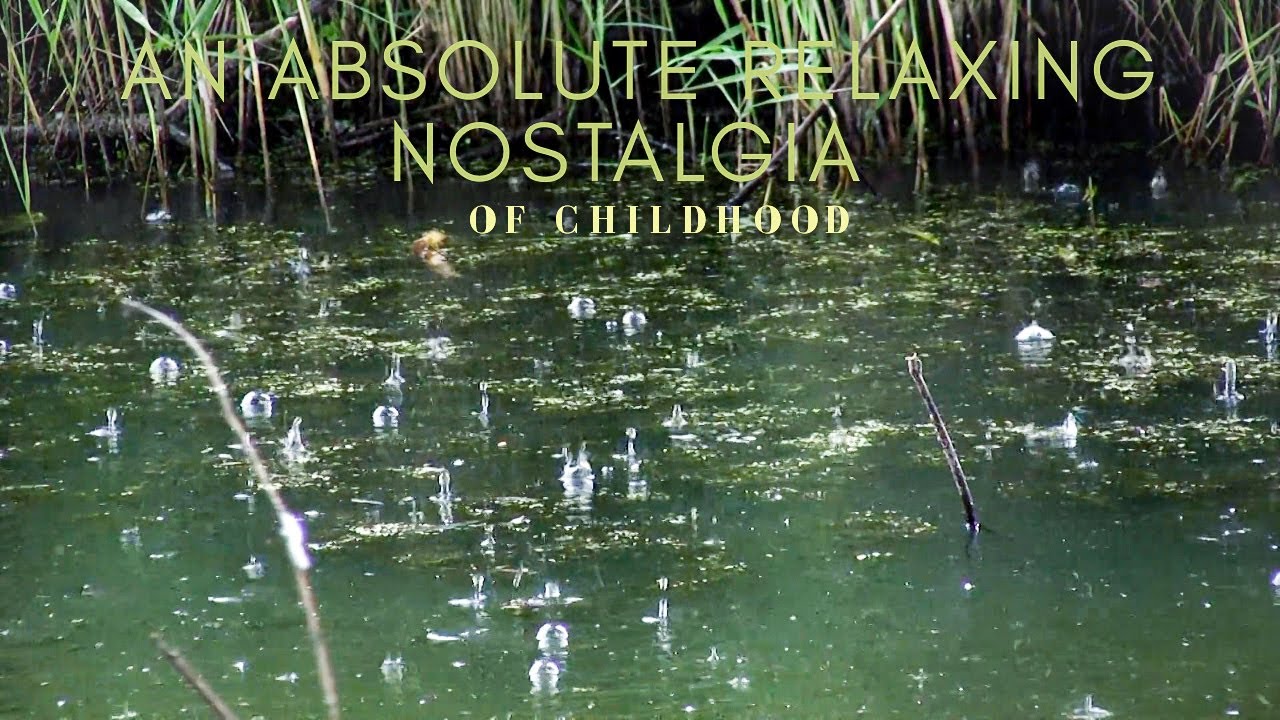 Relaxing Natural Nostalgia - [Natural sound] | Raindrops | Bubbles ...