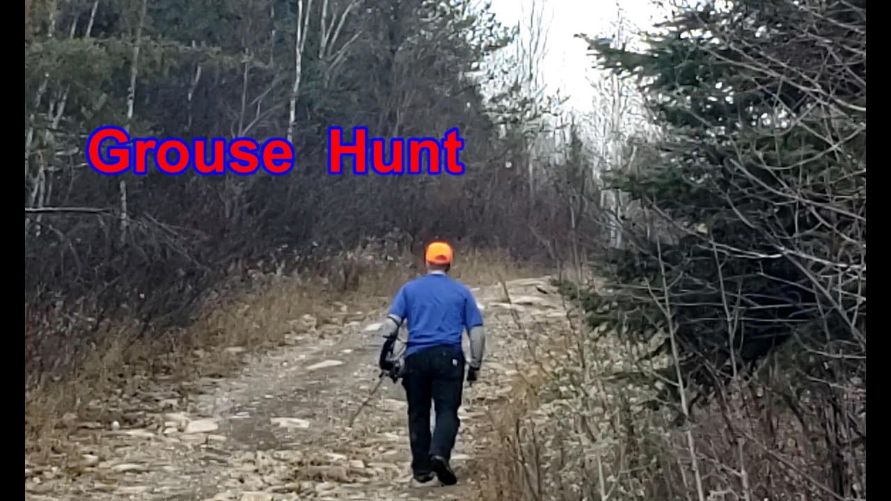Ruffed Grouse hunt with Bow and Arrow Archery Awesome day - YouTube