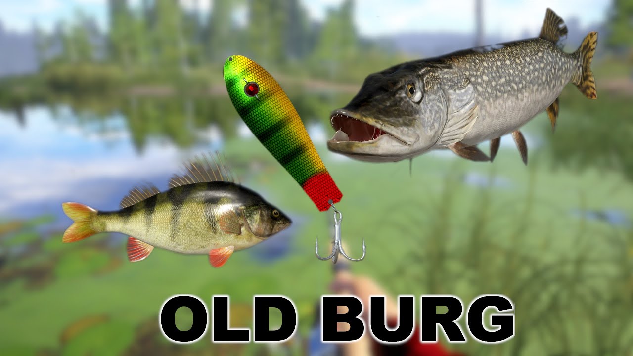 Old Burg Pike Szczupak | RF4 SPOT 186 - YouTube