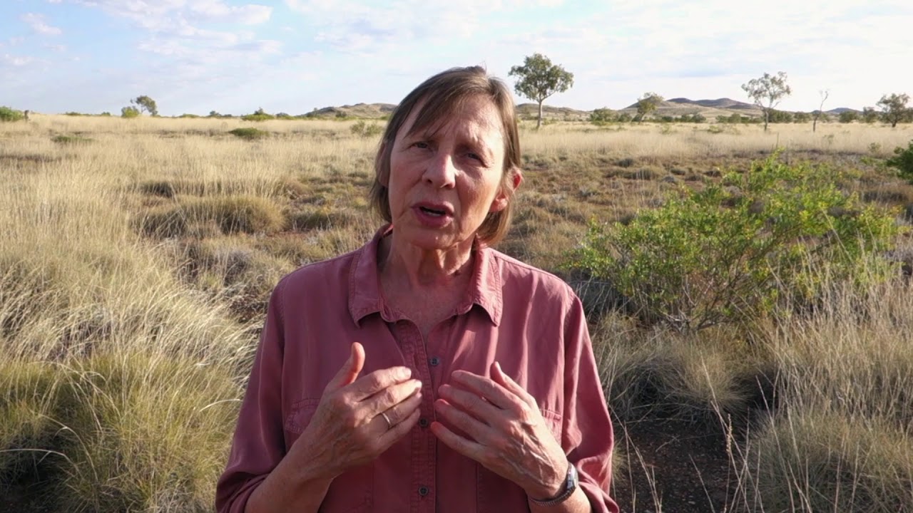 The Pilbara Aboriginal Strike - YouTube
