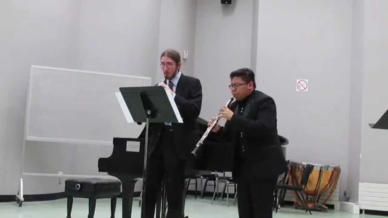 Immolation - duet for two oboes, by Jonathan Werk - YouTube