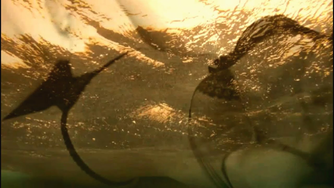 Mermaid (Sade) - YouTube