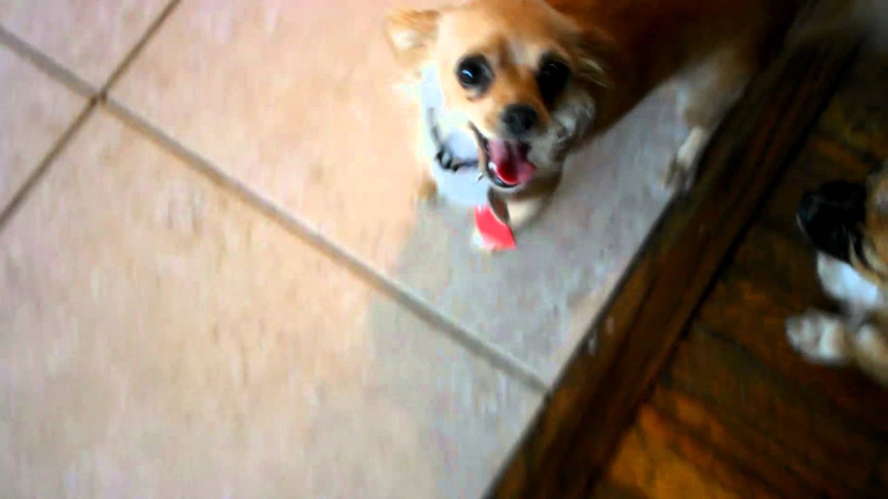 TEENIE TINA CUTIE - YouTube