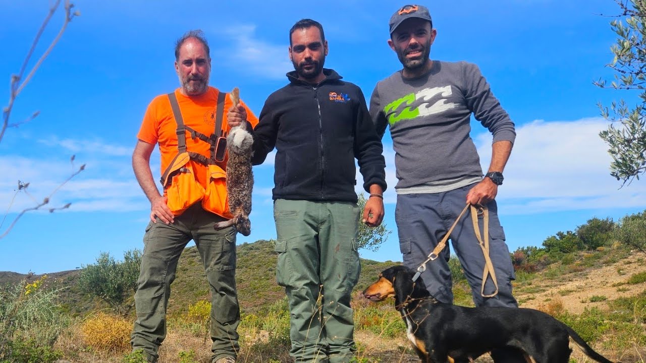 Κυνήγι Λαγού - Hare Hunting 10-11-2025 "Ο λαγός της δίωξης μένει στην ...