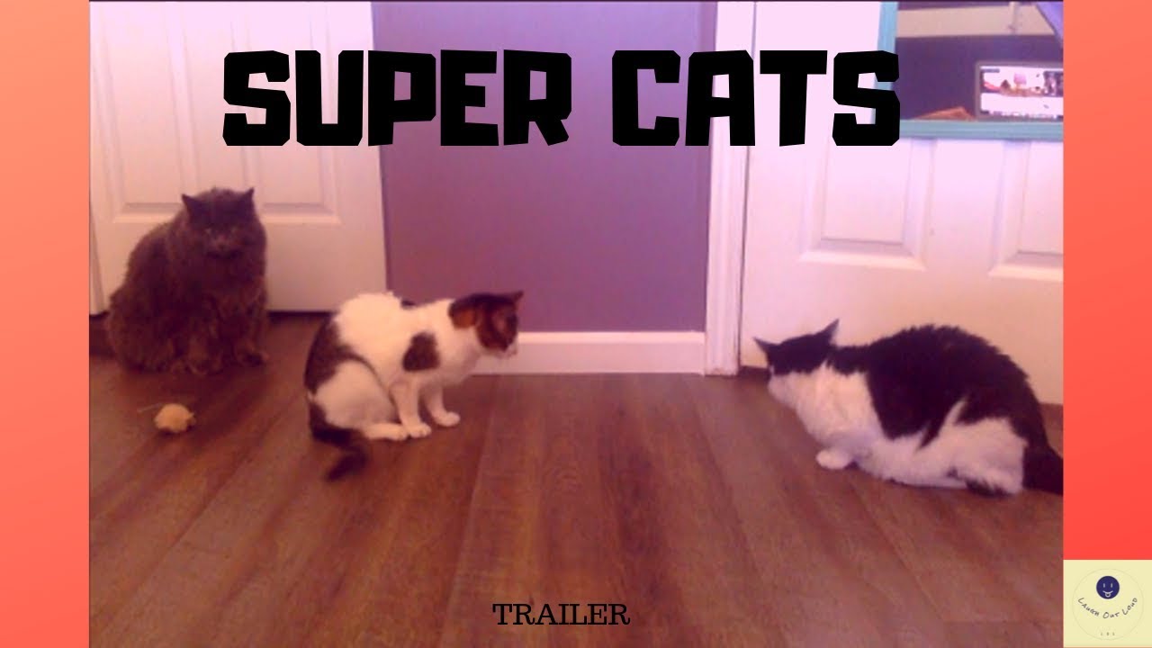 Super Cats Trailer - YouTube