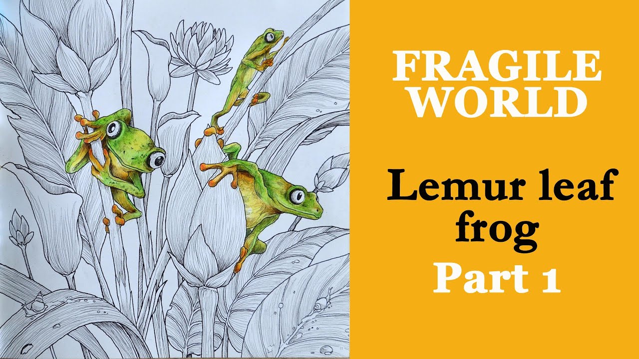 Lemur leaf frogs. Part 1 #Coloring in 'Fragile World' K.Rosanes #Adultcoloring - YouTube