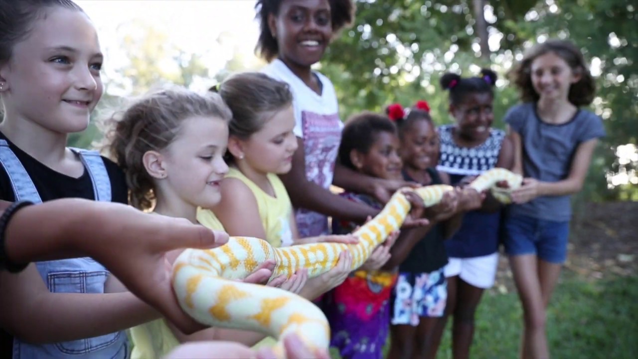 Wildcall Wildlife Shows party snap shot - YouTube