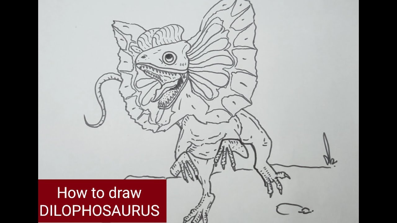 HOW TO DRAW EASY DILOPHOSAURUS - YouTube