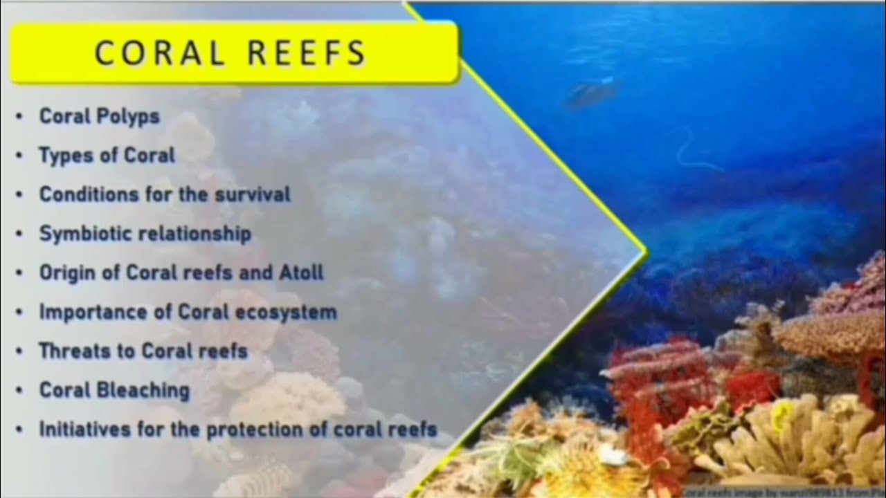 Coral Reefs| Fringing reef, Barrier reefs & Atolls| Coral Bleaching ...