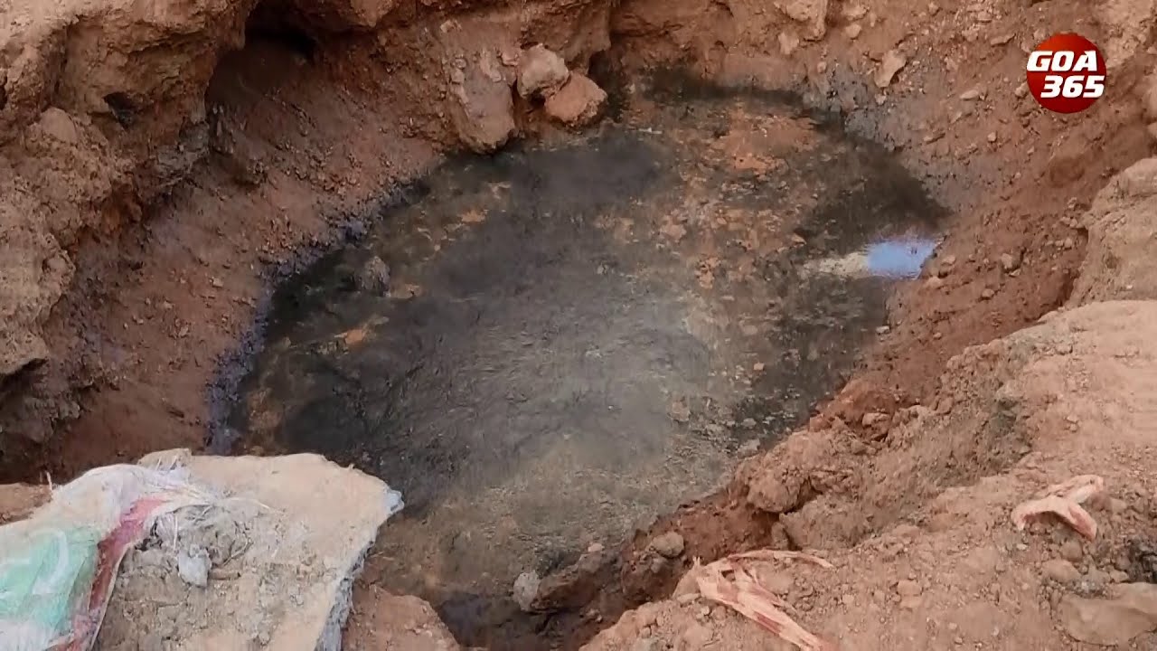 Ponds of sewage water stagnating in St. Inez could be source of major ...