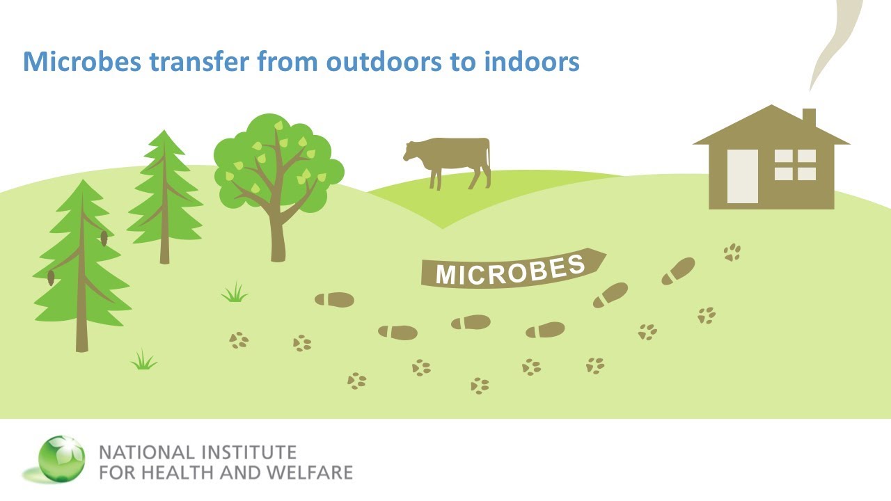 Martin Täubel: Can we modify the indoor microbiome towards health ...