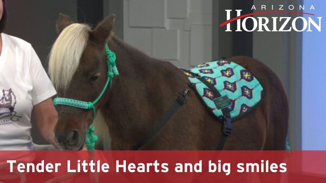 Tender Little Hearts and big smiles | Ted's Tails - YouTube