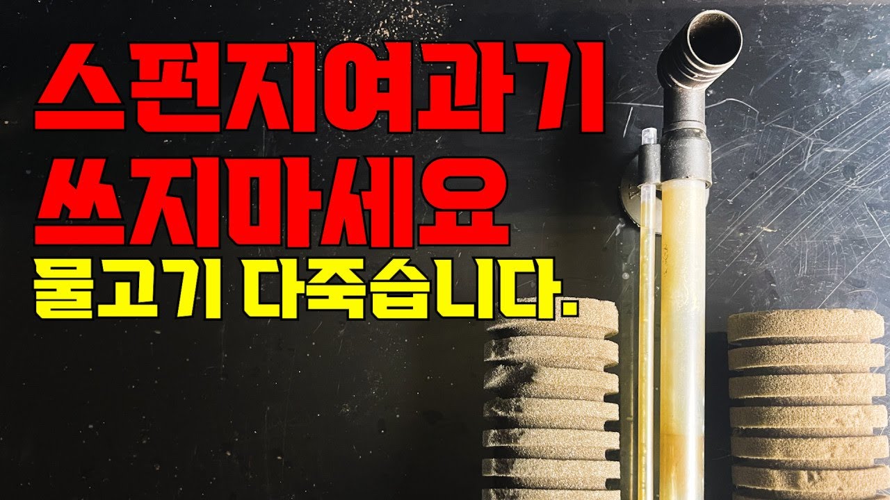 스펀지여과기 이렇게 쓸꺼면 쓰지마세요 물고기 다 죽습니다 Youtube