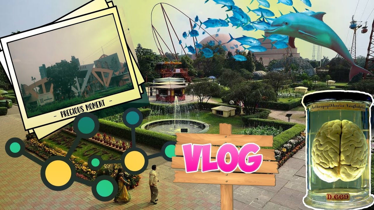 CRAZY THINGS IN CITY OF SCIENCE - VLOG - YouTube