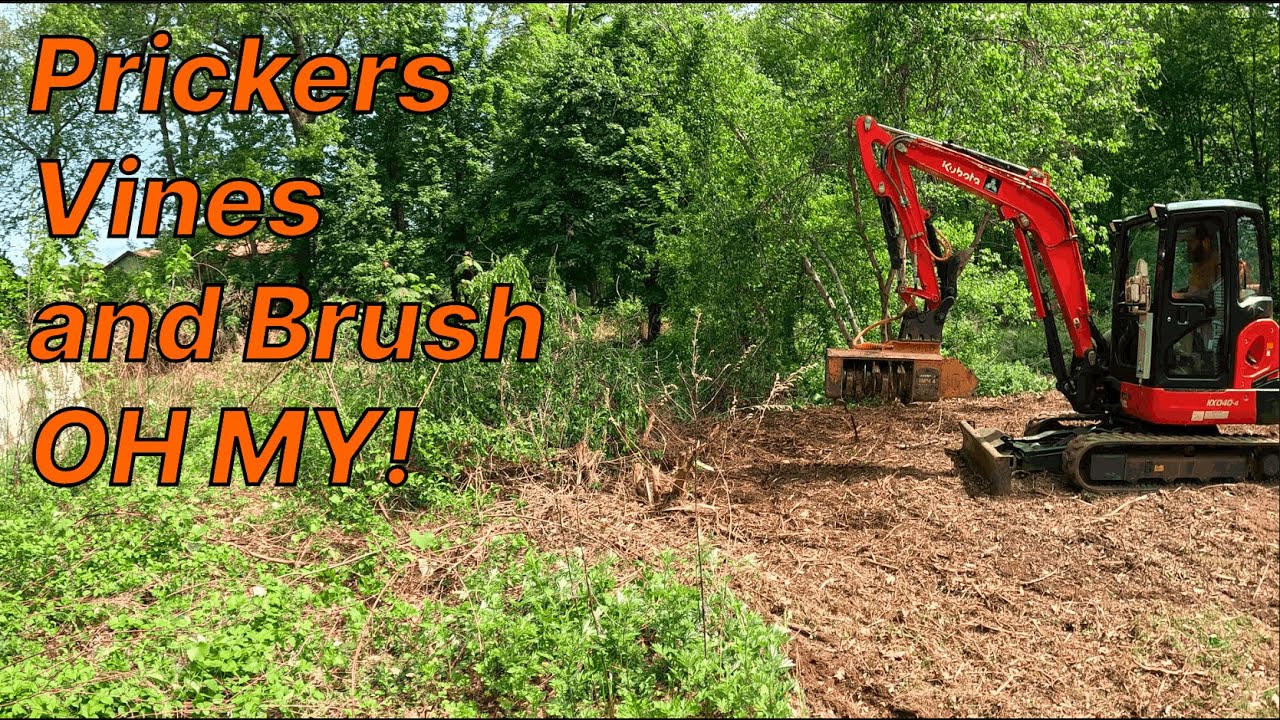 Prickers, Vines, and Brush, OH MY! - Clearing with Forestry Mulching ...