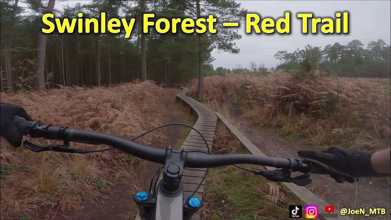 New & Updated Swinley Forest MTB Red Trail! (Guide) - YouTube
