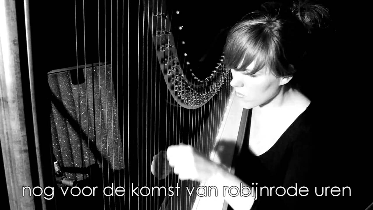 de nacht ontfermt zich over mij - harp - harpist - anne van schothorst ...