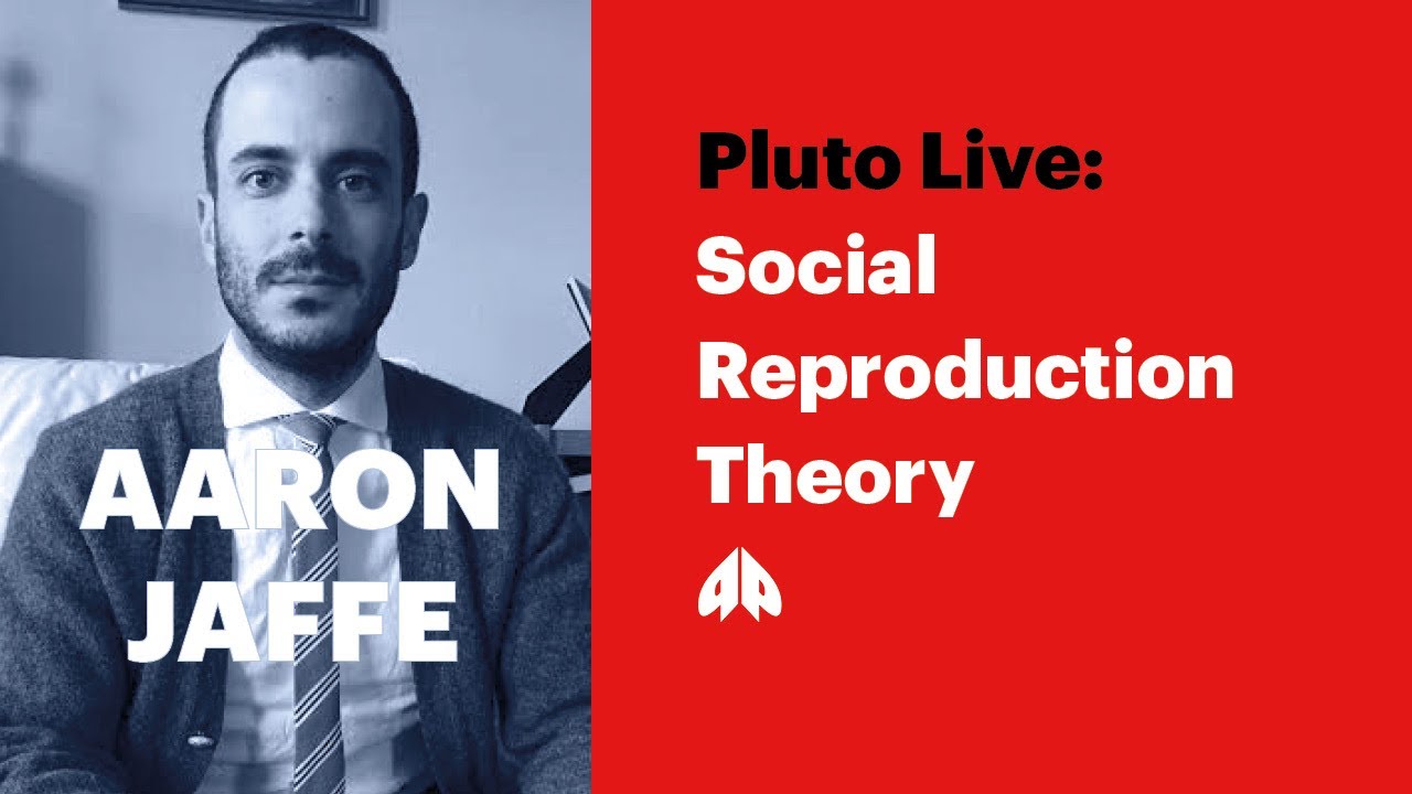 Aaron Jaffe - Social Reproduction Theory and the Socialist Horizon - with Sara Farris | Pluto ...