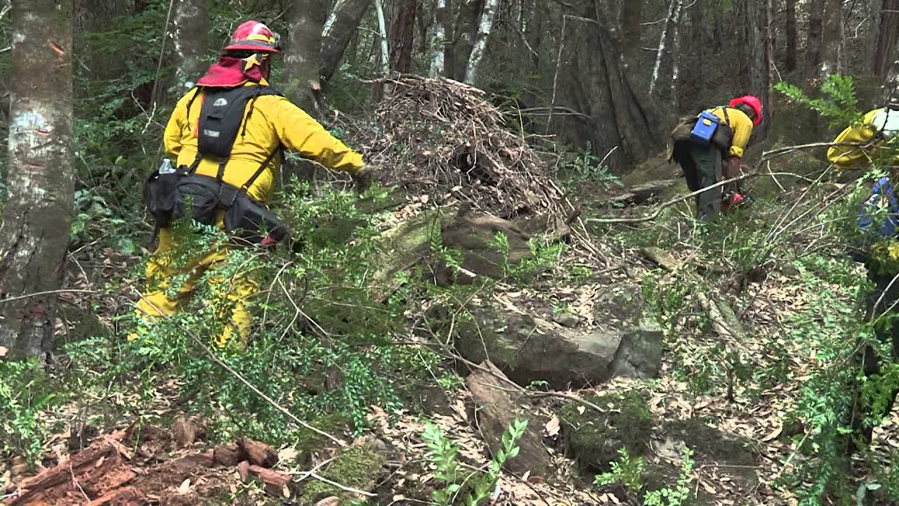 In the Line of Fire [Lodge Complex Fire 2014] - YouTube