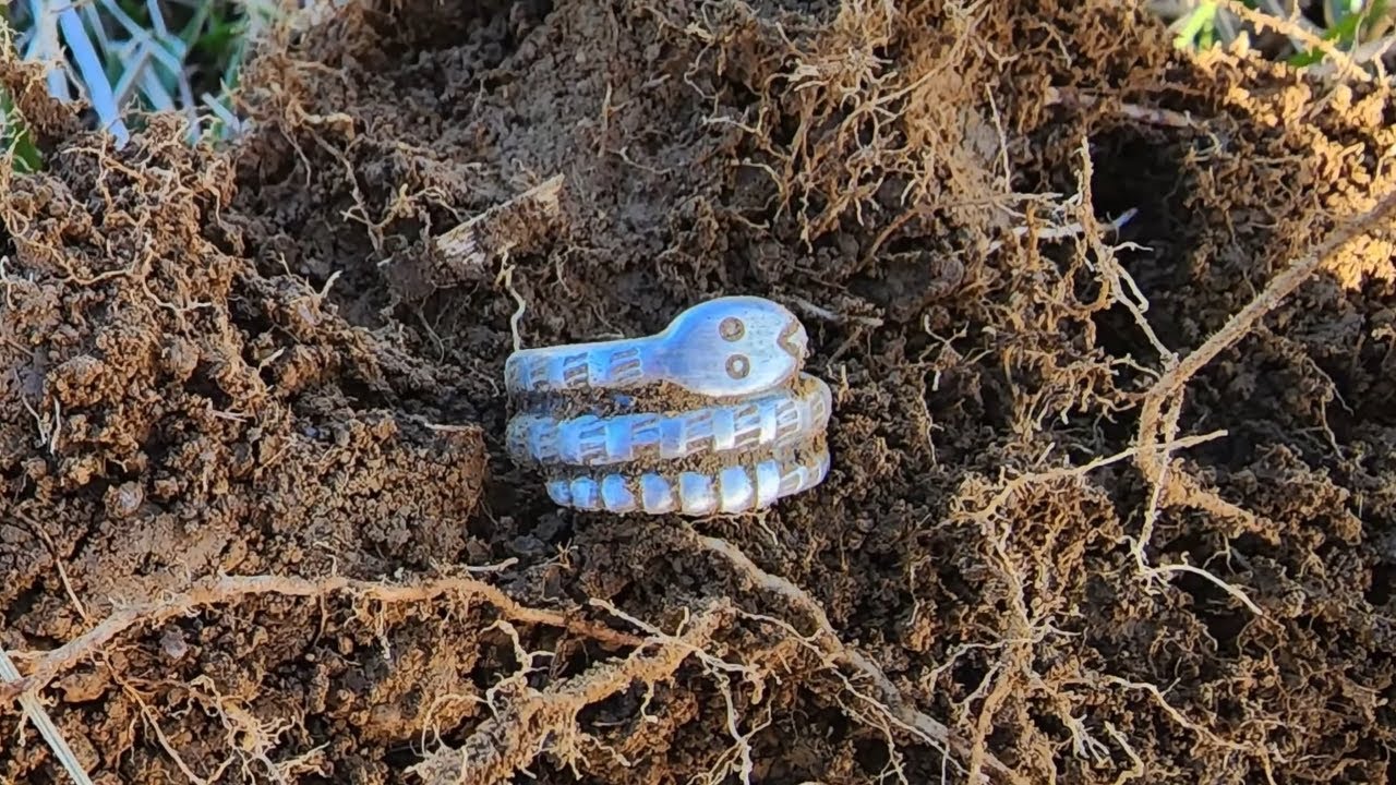 I Found A Solid Silver Rattlesnake Ring And Silver War Relics! - YouTube