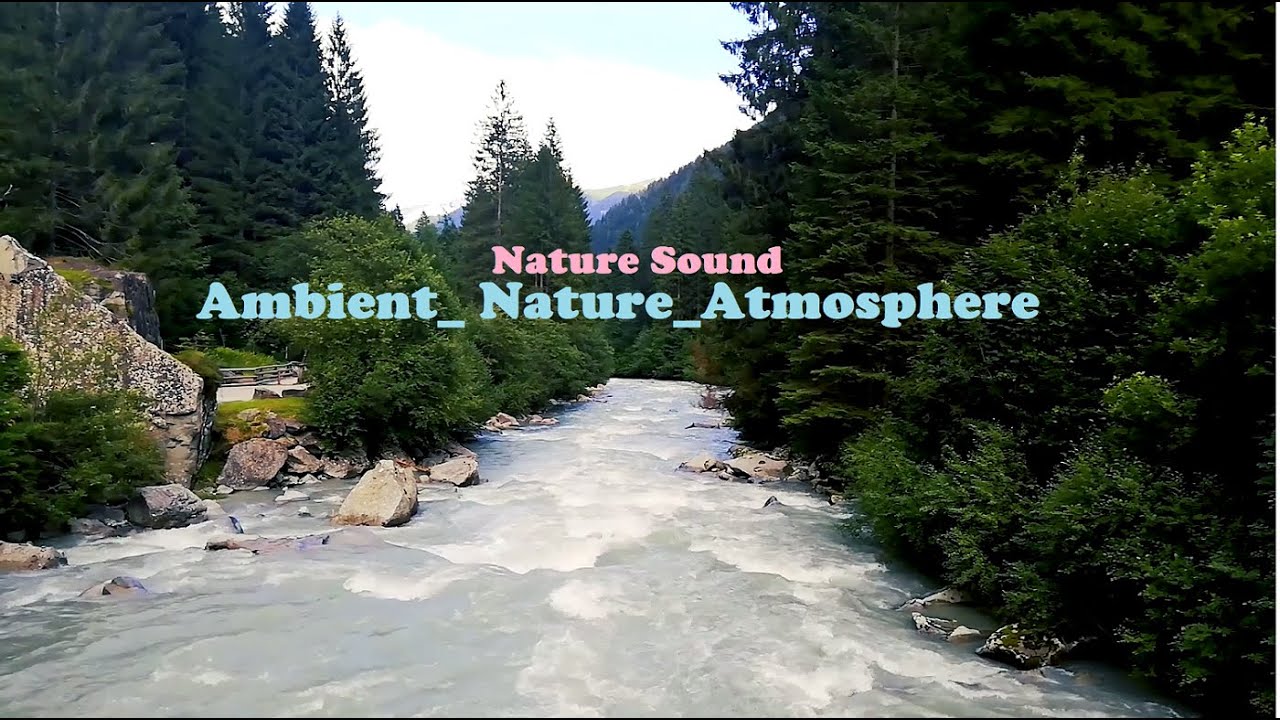 1 HOUR HD Relaxing Nature Sound || Ambient_ Nature_Atmosphere || Green ...