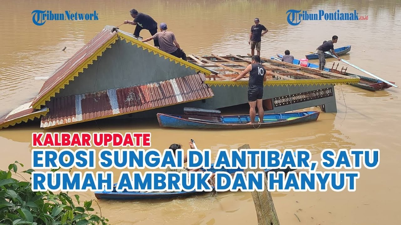 Erosi Sungai di Antibar Mempawah, Satu Rumah Ambruk dan Hanyut - YouTube