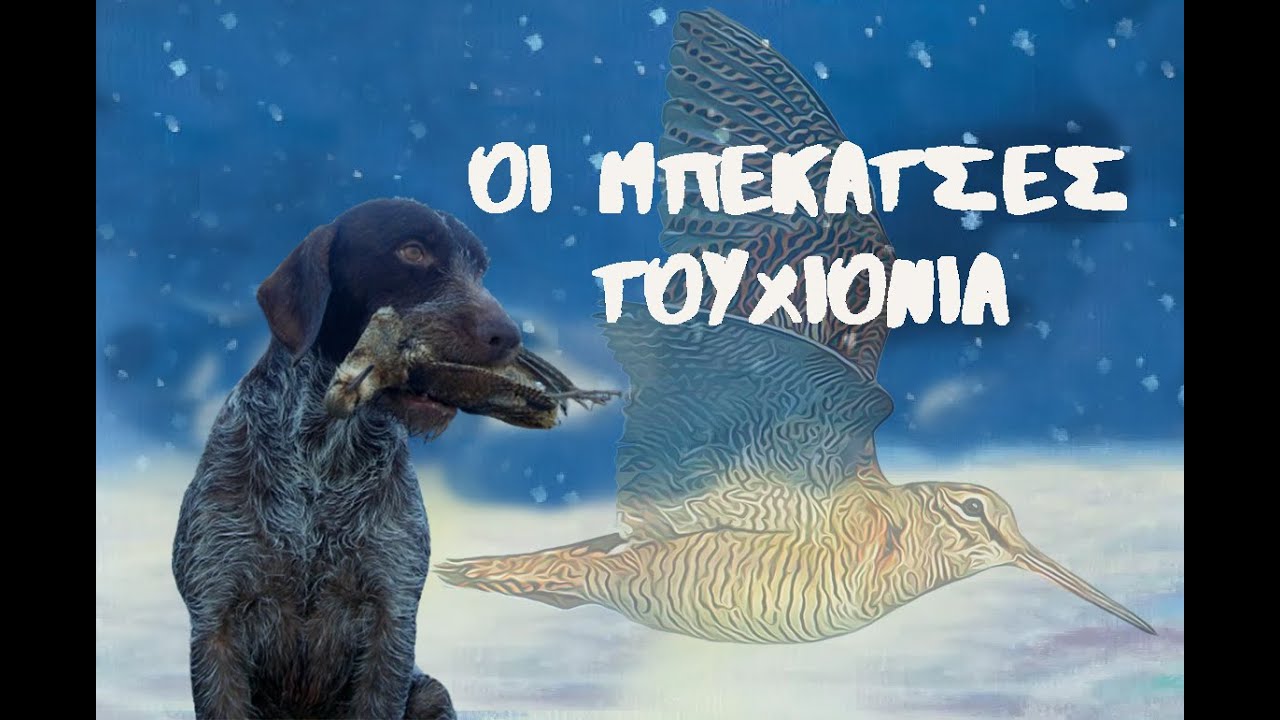 ΟΙ ΜΠΕΚΑΤΣΕΣ ΤΟΥ ΧΙΟΝΙΑ - YouTube