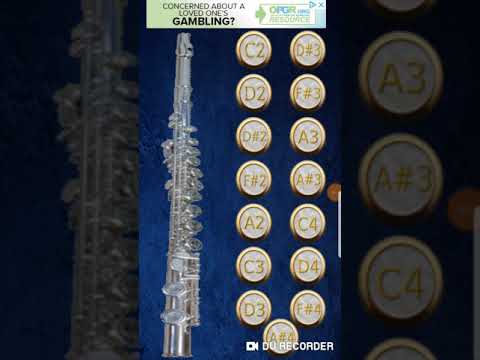 VIRTUAL FLUTE APP