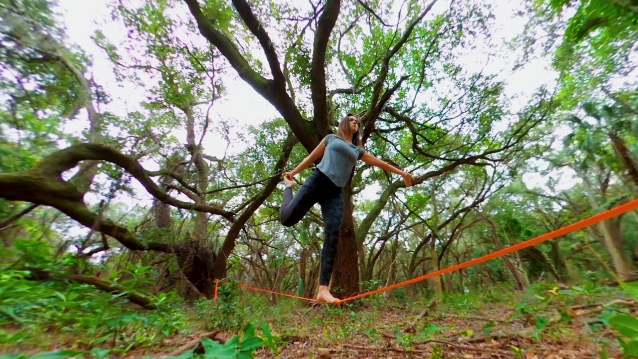 Tree Sixty - YouTube