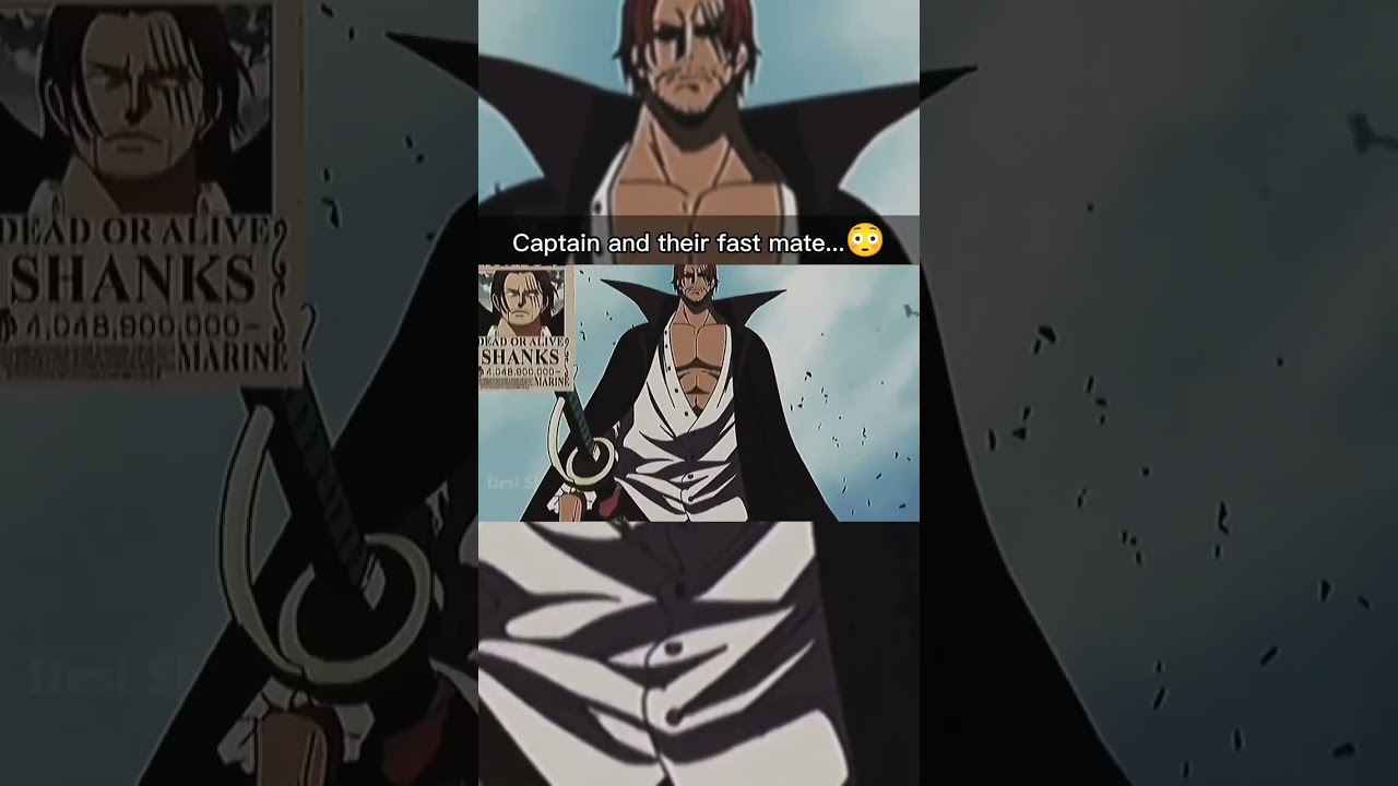 CAPTAIN AND THERE FIRST MATE😬😳😱🔥 #shorts #trending#viralshorts #luffy# ...