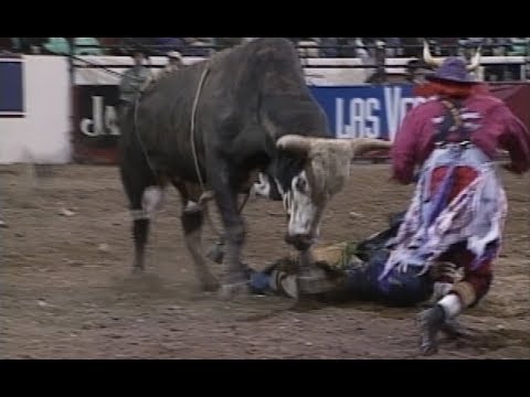 "The Bull's Too Big, Too Powerful." -Terry Don West Rides Hard Copy for ...