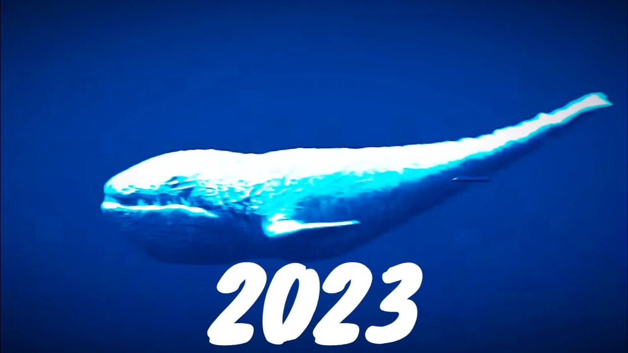 Evolution of the Bloop | Part 3 - YouTube