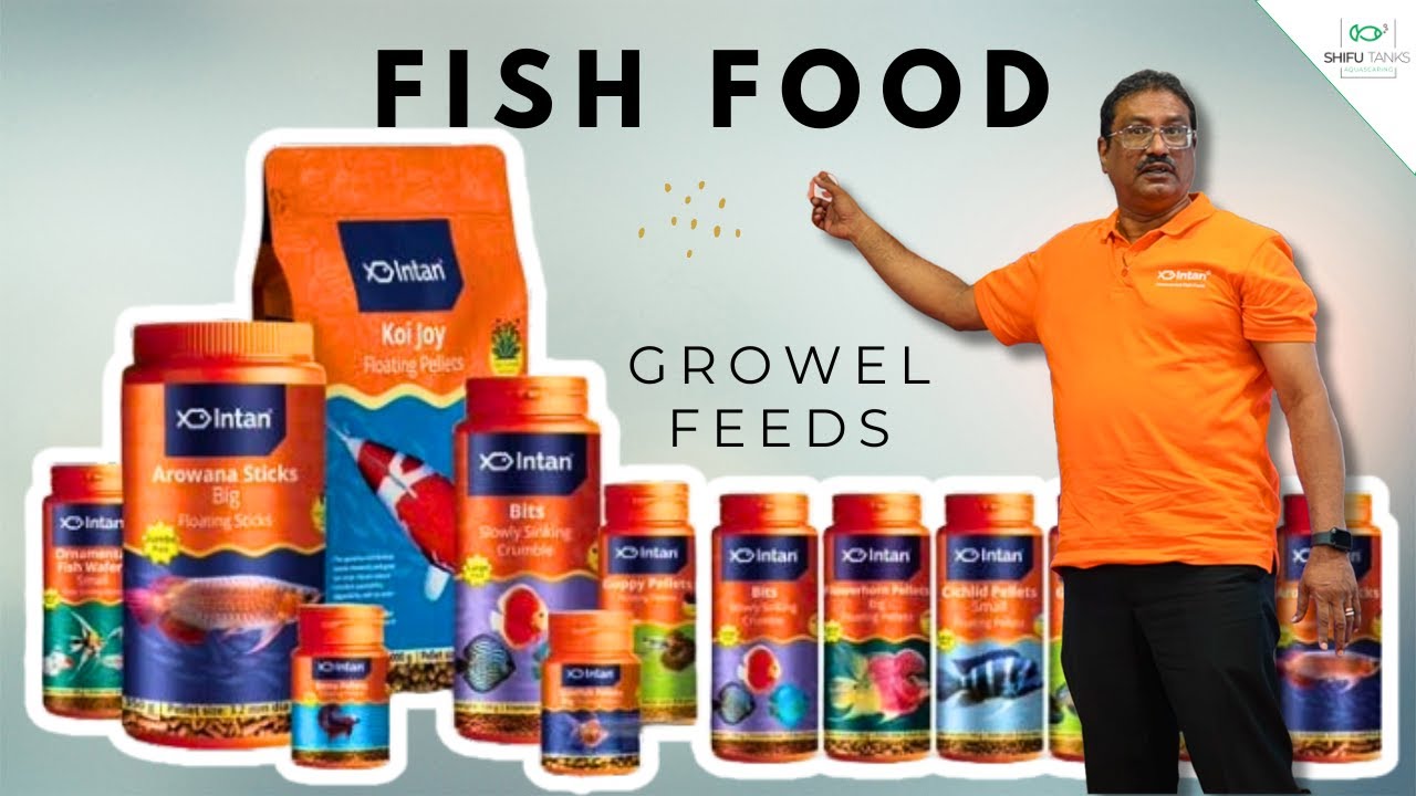 INTAN Fish Food Explained: Ingredients, Benefits, and Usage | Shifu ...