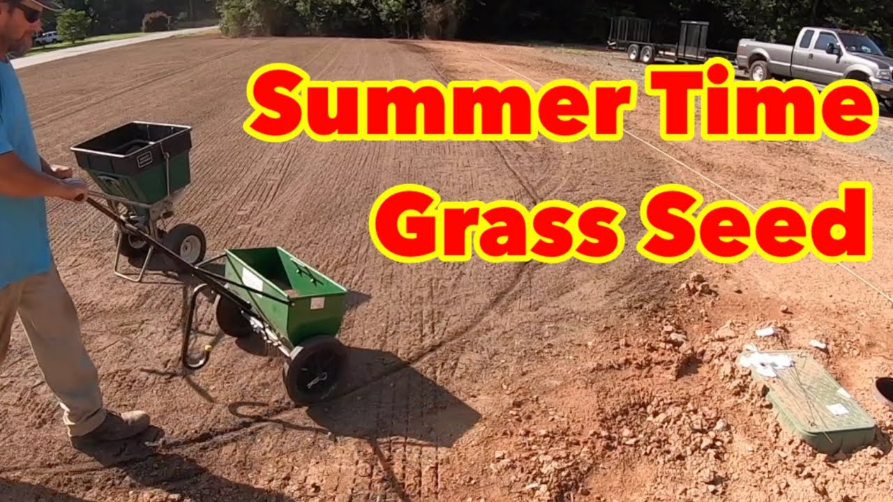 How To Plant Grass Seed In The Summer Bermudagrass Renovation YouTube how-to-plant-grass-seed-in-the-summer-bermudagrass-renovation-youtube