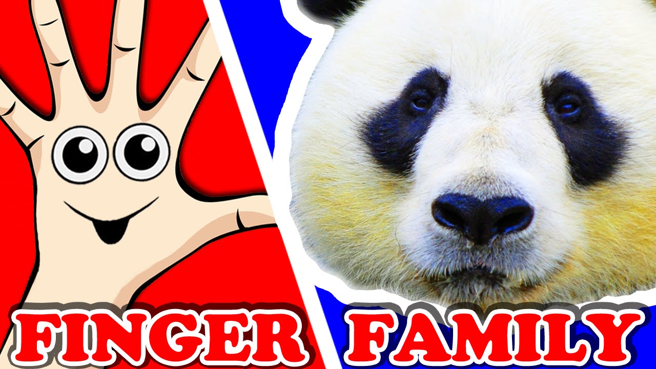 PANDA Finger Family | Songs For Kids | Surprise Eggs Animation for ...