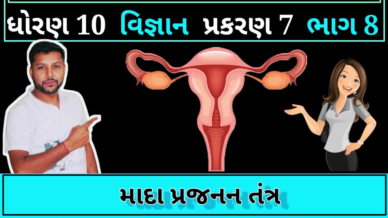 માદા પ્રજનન તંત્ર | mada prajanan tantra | std 10 | ch 8 - YouTube