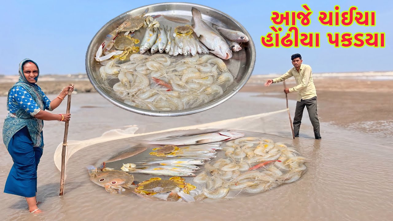 ખોલો મોટો કરી ને જીંગા પકડયા 🦐 jinga fishing 🎣dariyai khedut ...