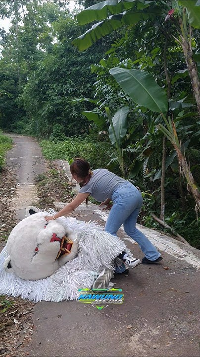 Cewek cantik berhasil menaklukan can macanan👏👏 - YouTube