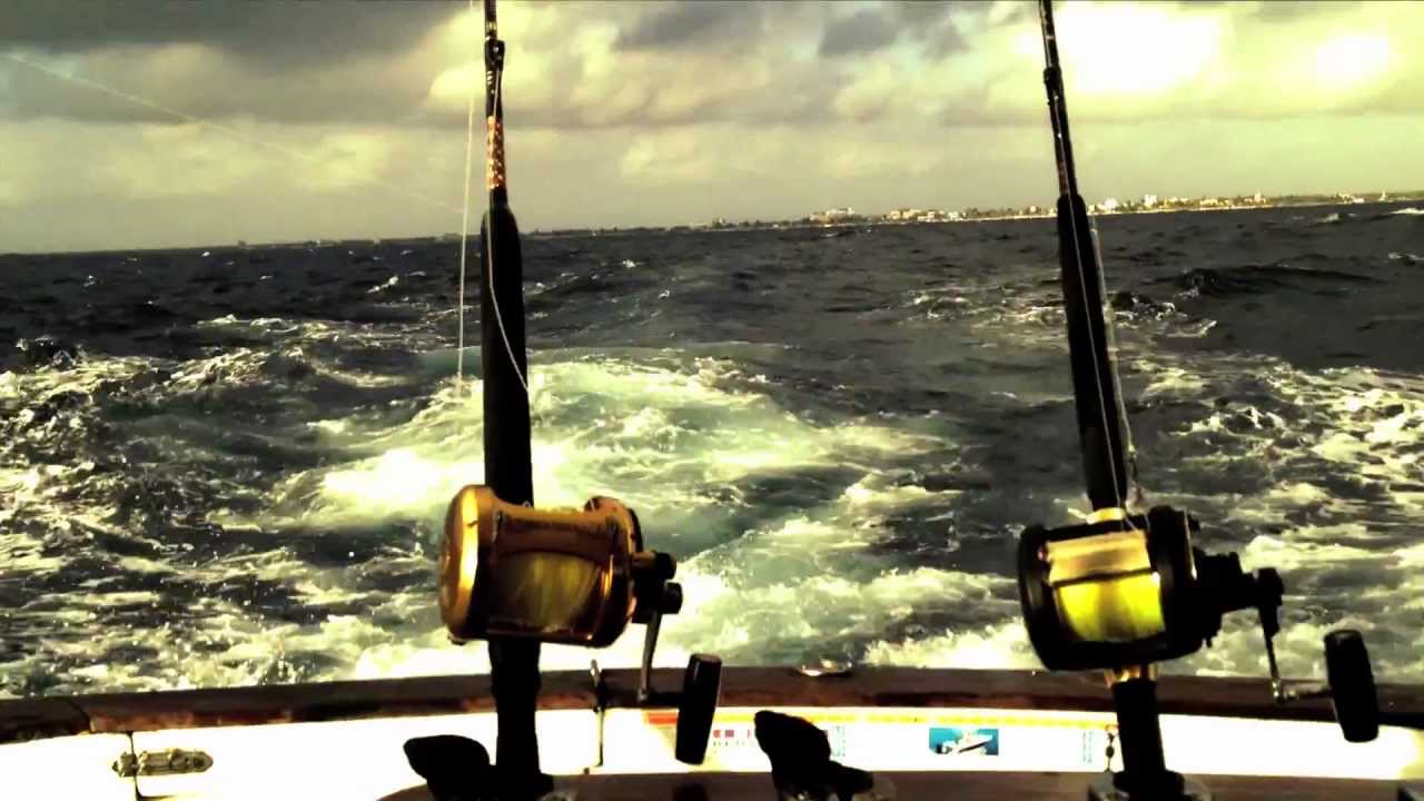 Deep Sea Fishing - Costa Maya, Mexico - YouTube