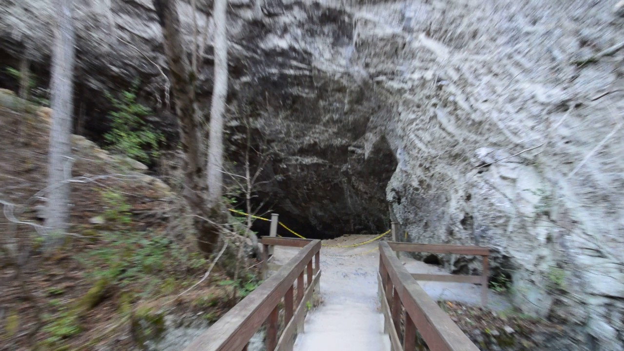 Cedar Creek Gorge at Saltpeter Cave, Natural Bridge State Park - YouTube