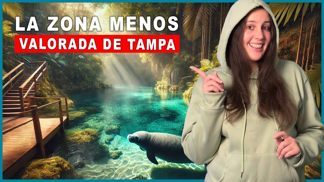 SPRING HILL: La MEJOR y más BARATA zona de TAMPA - YouTube