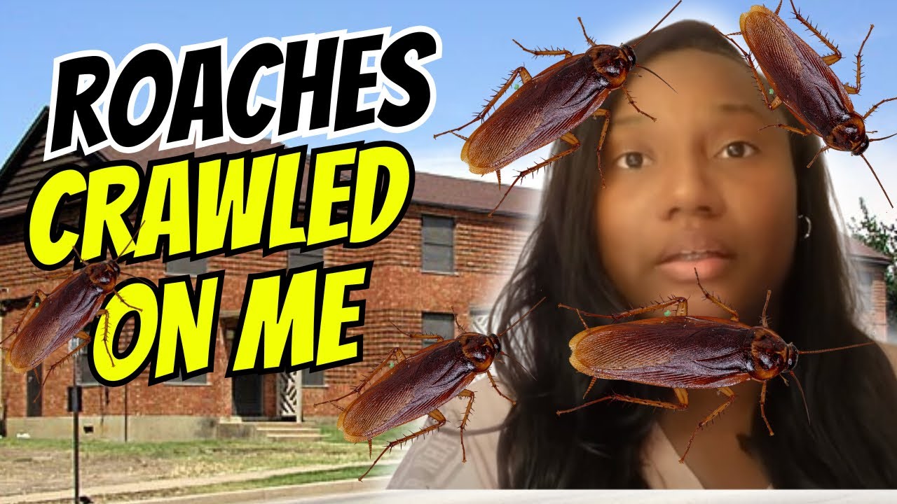Luvd By Erica- My Eye Doctor Said My ROACH INFESTATION Is Causing Me To Go Blind - YouTube